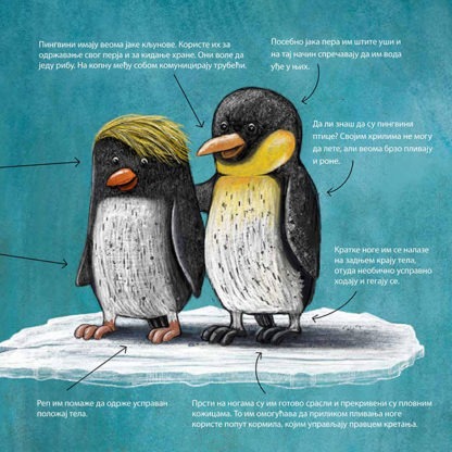 Pingvin Petronije je poseban - Montesori Svet