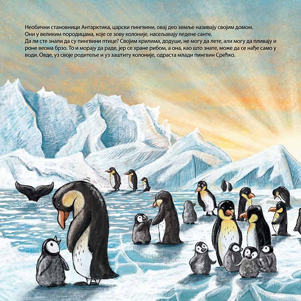 Pingvin Petronije je poseban - Montesori Svet